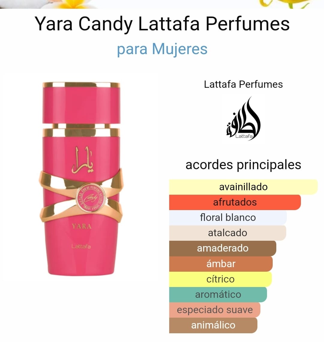 Yara Candy by Lataffa EDP 3.4oz – Quimica de Perfumes