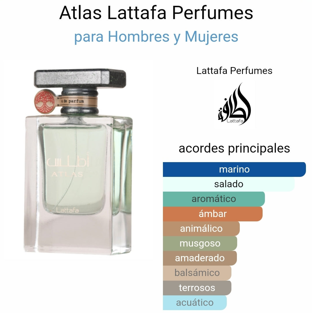 Atlas de Lattafa – Quimica de Perfumes